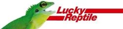 Lucky Reptile Vermiculite 5L | TSBOHEMIA.SK