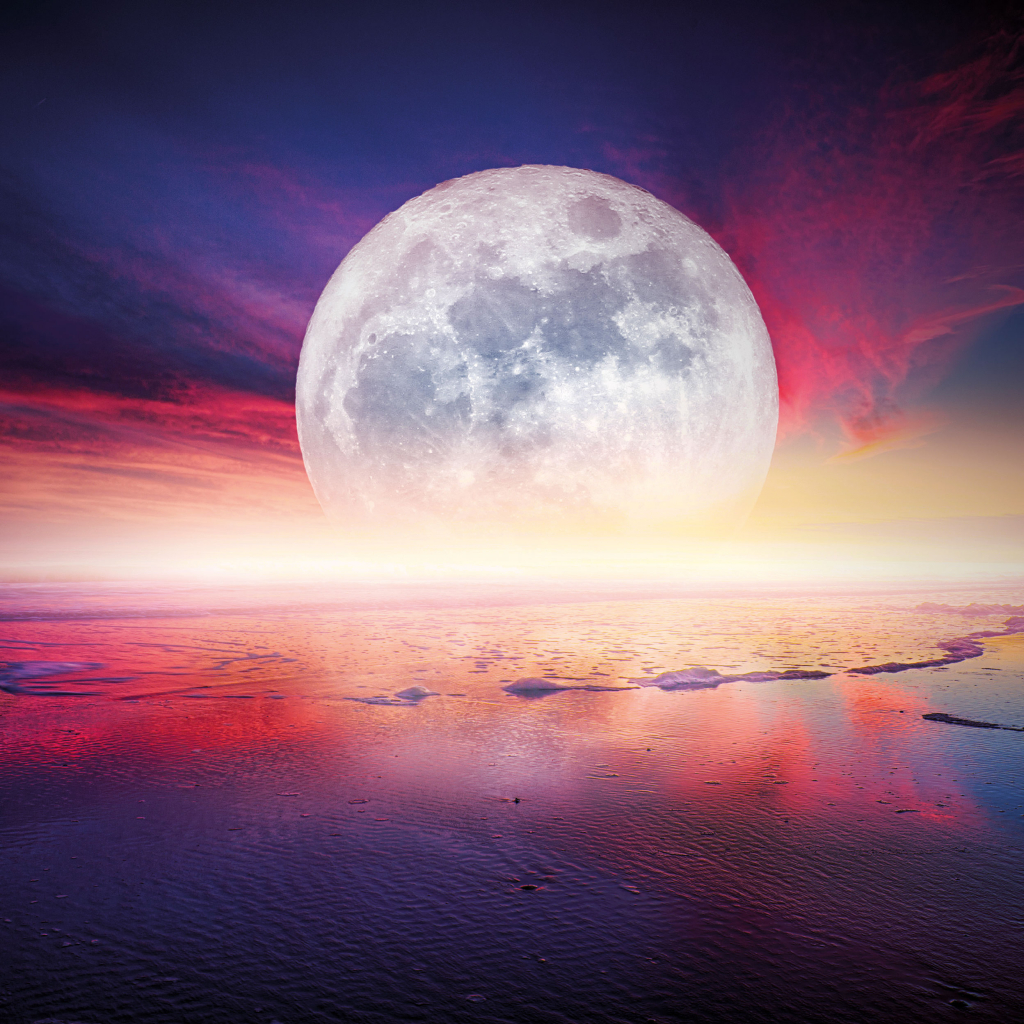 Mriežkový kalendár Mesiac 2023, 30 × 30 cm | TSBOHEMIA.SK